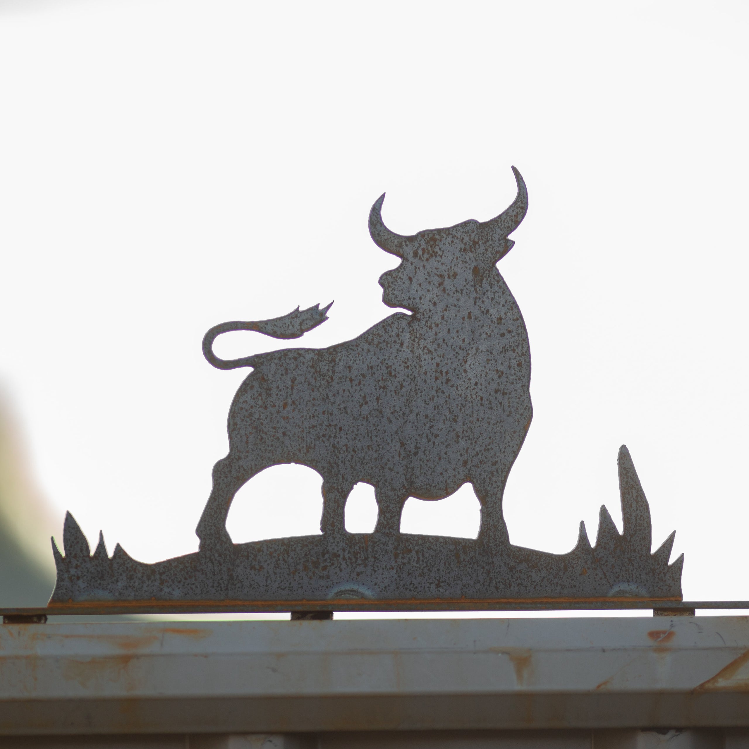 Bob the Bull | Gravelly Beach Metalworks