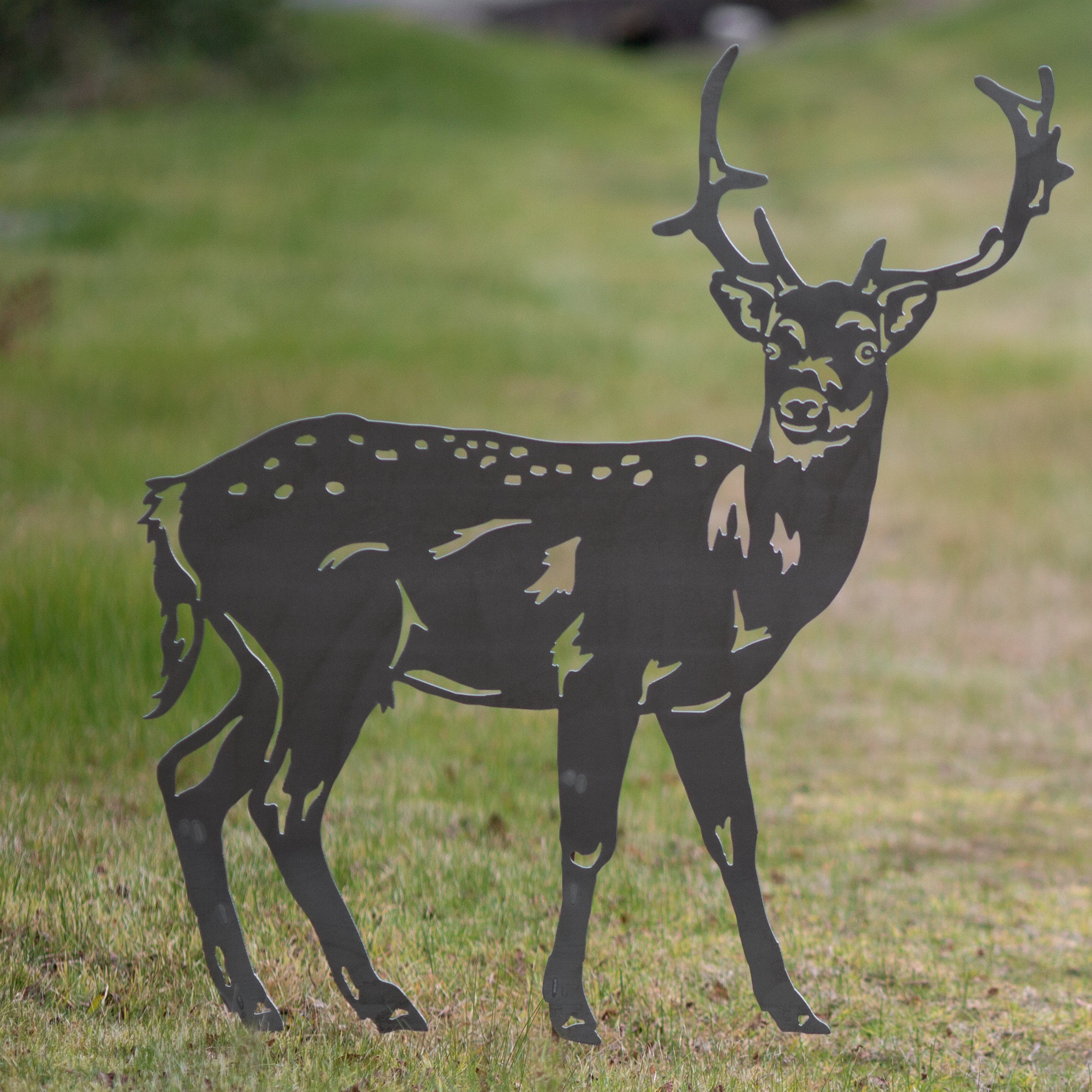 Flynn the Tasmanian Fallow Deer | Gravelly Beach Metalworks